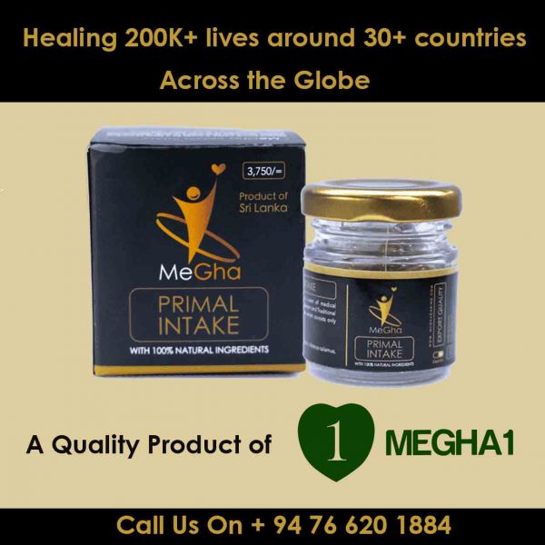 Home - MeGha1 Palace (Pvt) Ltd